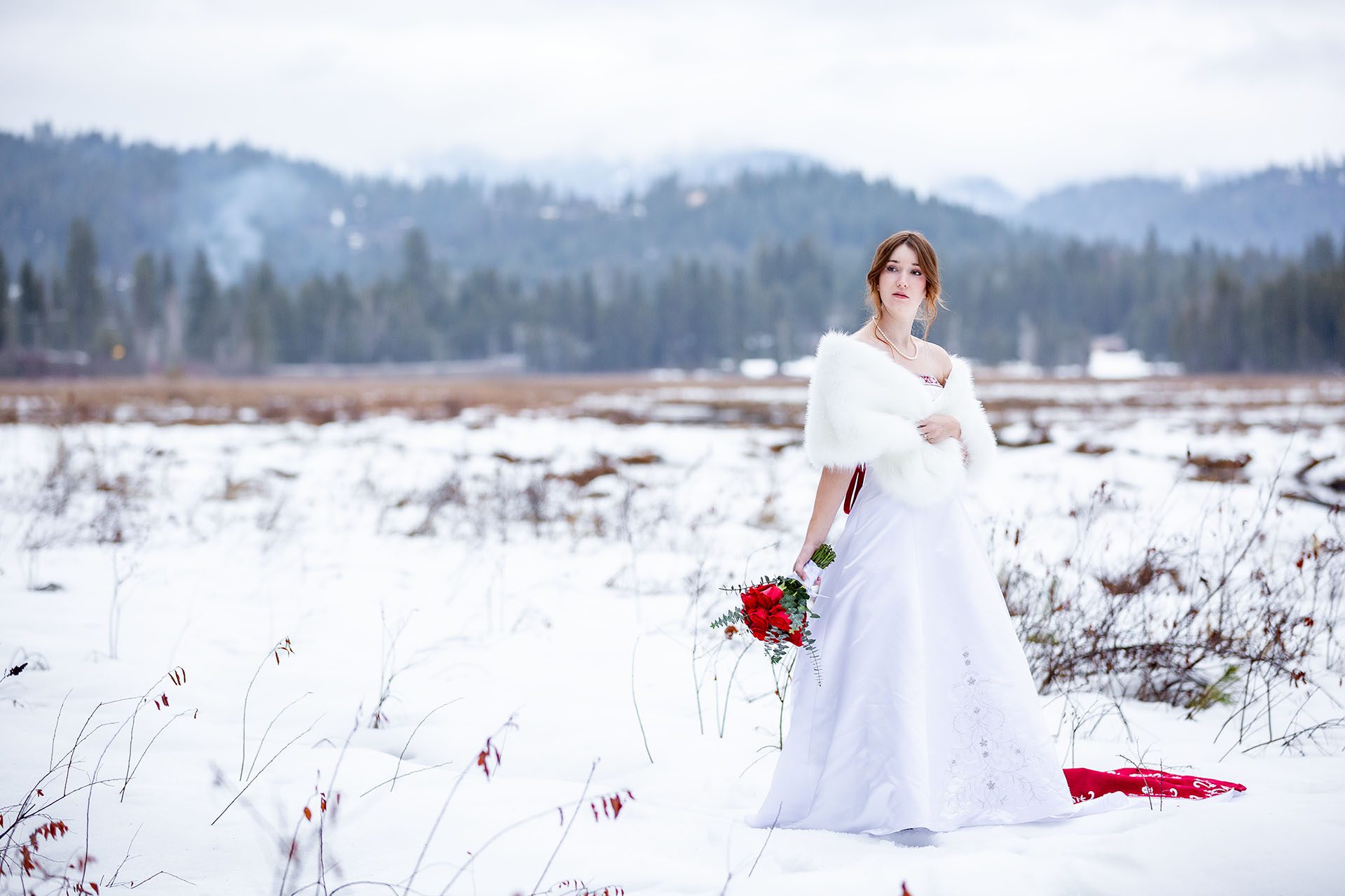 Learn More About Thomas North Photography